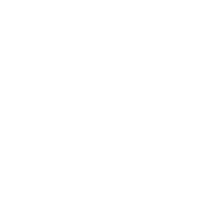 About – Evolution Merchant