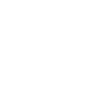 About – Evolution Merchant